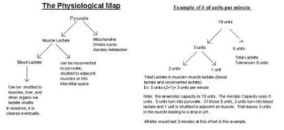 Part 3- THe Physiological Map – Science of Running
